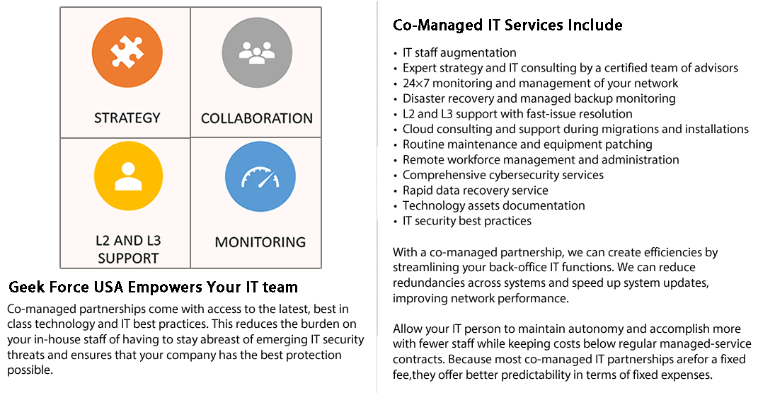 Co Managed IT Plans - GEEK FORCE USA